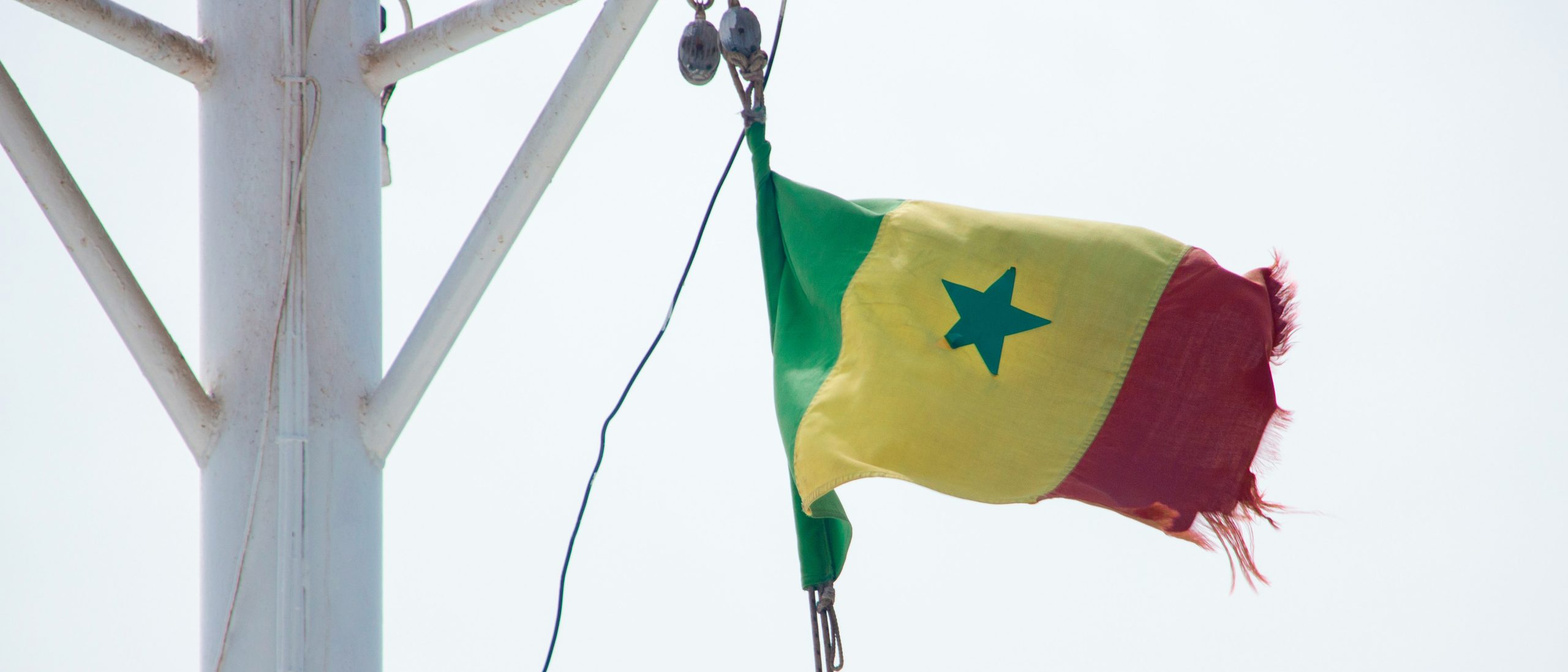 RCCM : Tout savoir sur le registre du commerce au Sénégal - ALF ...